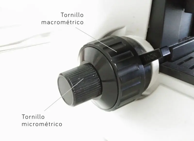 Tornillo micrométrico del microscopio óptico: estructura interna y ...